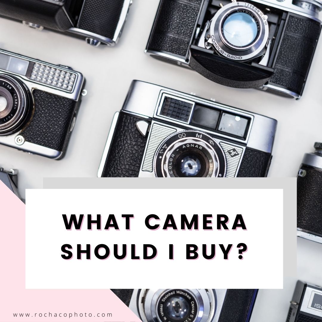 Beginner's Guide to Photography | FAQ's - Rocha & Co Photography